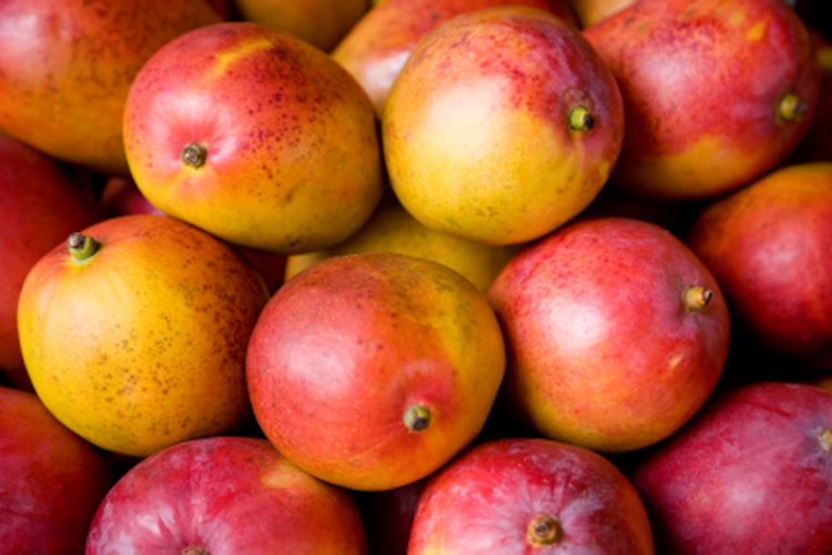 Cáscara de mango te puede hacer un poco más delgado