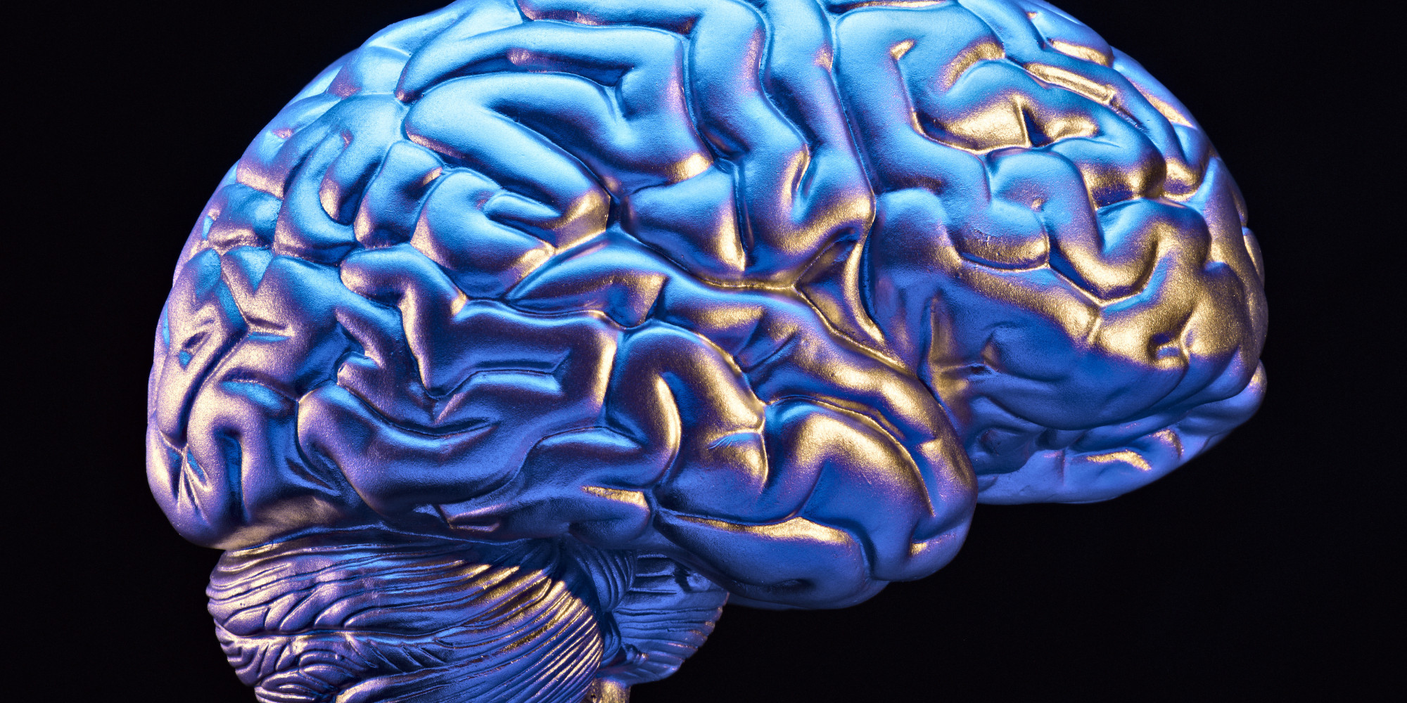 Estudio revela cómo el cerebro organiza tareas múltiples