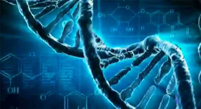 El cáncer de páncreas identificado como cuatro enfermedades separadas