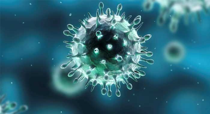 El virus del herpes y VEB se puede afrontar con medicamento para el corazón