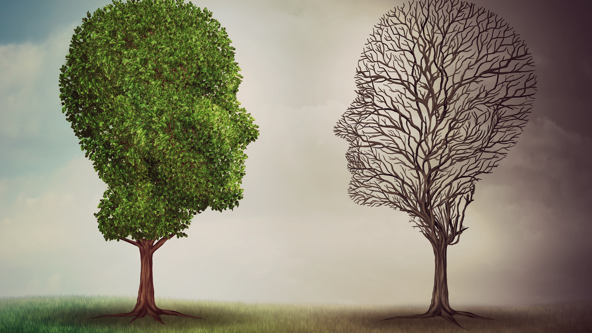Trastorno bipolar en niños: Factores de riesgo y síntomas
