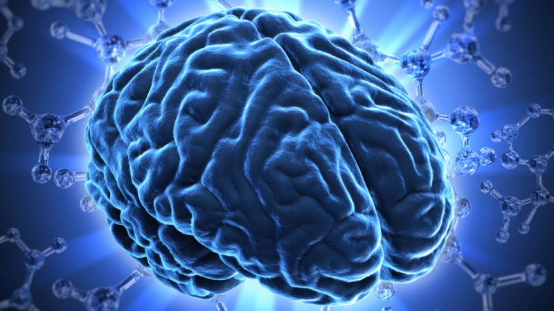 ¿Qué porcentaje de nuestro cerebro usamos?
